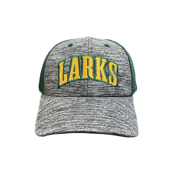 Larks Green and Yellow Mesh Hat | Larks Merchandise | Bismarck Larks ...